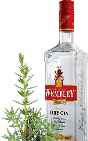 Wembley London Dry Gin: armonia ed eleganza londinese - ilGin.it