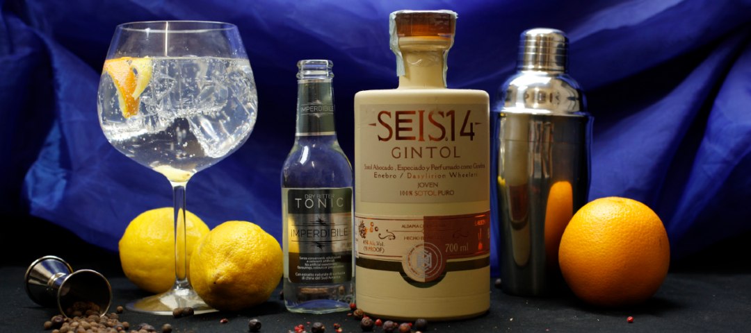 Seis14 Gintol: tradizione messicana - ilGin.it